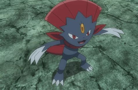 Pokemon Weavile Evolution