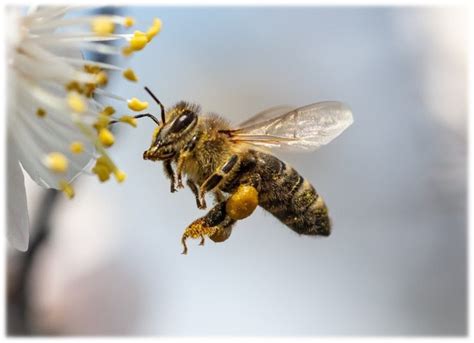 ΕΚΦΕ Θεσπρωτίας Ένα Project φυσικοχημικό