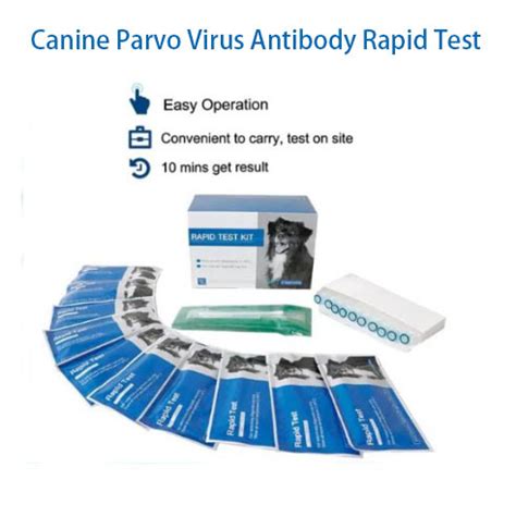 Canine Parvo Virus Antibody Rapid Test Canine Parvo Vaccine Dog China