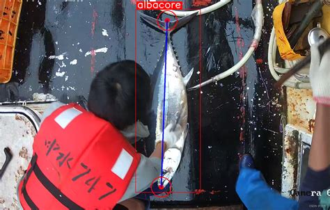 yolov8 pose 关键点检测坐标的提取（3个关键点） 同济子豪兄yolov8pose csdn博客