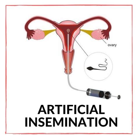 Vidit Meghwal On Tumblr