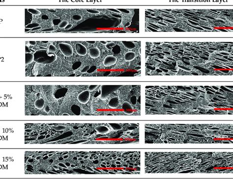 The Microcellular Structure Of Pp Composite Foams Parallel To The