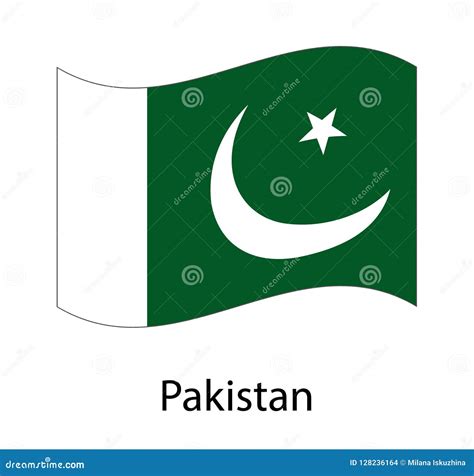 La Bandiera Nazionale Del Pakistan Ha Isolato Su Fondo Grigio Bandiera