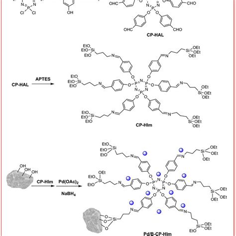 Pictorial Procedure For The Synthesis Of Pdb Cp Him Download