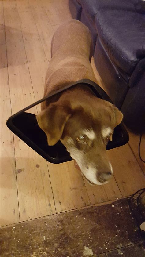 Naughty Very Naughty Album On Imgur