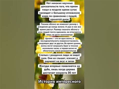 Интересные факты - YouTube