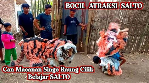 VIRAL CAN MACANAN SINGO RAUNG CILIK BELAJAR ATRAKSI SALTO YouTube