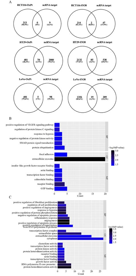 functional analyses of differentially expressed long non coding rna