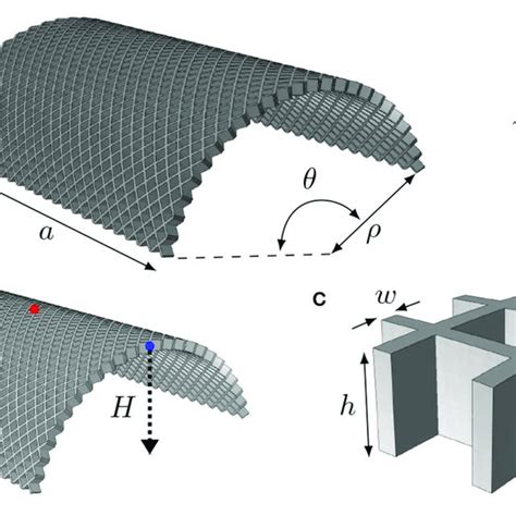 The Relevant Global A And Local C Dimensions Are Shown Unless Download Scientific