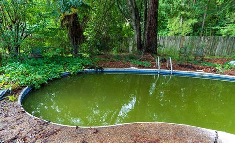 Effortlessly Eradicate Pool Algae Fast Our Expert Tips