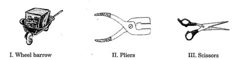 Second Class Lever Nutcracker
