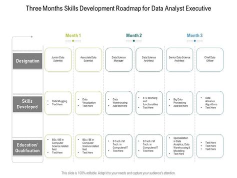 Three Months Skills Development Roadmap For Data Analyst Executive Presentation Graphics