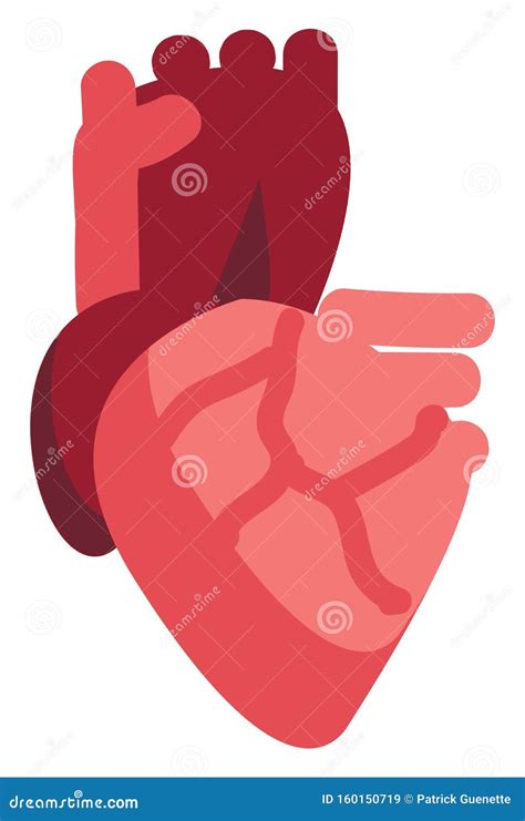 Ejemplo Del Vector De Un Coraz n Humano Ilustración del Vector