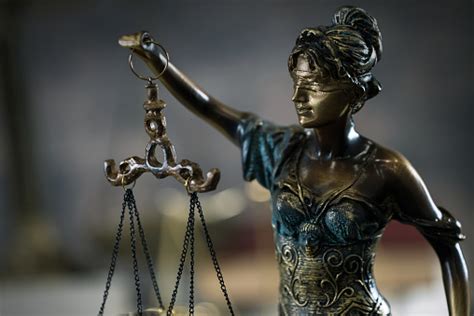 정의 테마입니다 법 나무 망치 변호사 정의 개념 법률 시스템 인쇄 술 법 개념에 대 한 장소 0명에 대한 스톡 사진 및 기타