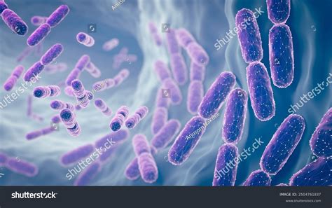 Microscopic Probiotics Bacteria Lactobacillus Bacteria 3d Stock Illustration 2504761837