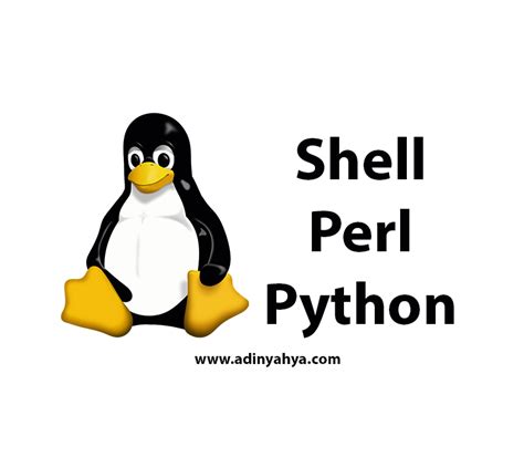 membuat file shell perl python sederhana di linux adin yahya