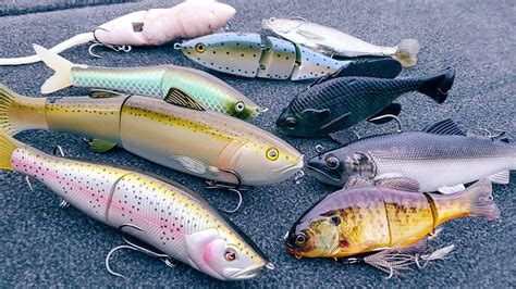 Spring Swimbait Fishing Everything You Need To Know Underwater