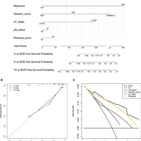 Pca Survival Nomogram Calibration Curve And Net Benefit Curves A Download Scientific
