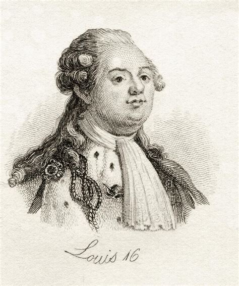King Louis Xvi Drawing