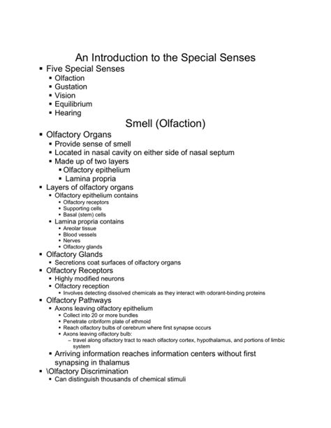 An Introduction To The Special Senses Smell Olfaction