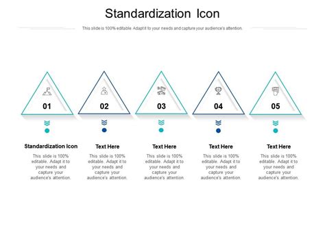 Standardization Icon Ppt Powerpoint Presentation Summary Graphics Example Cpb Presentation