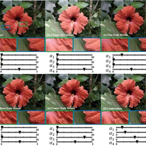wls edge preserving smoothing top input and smoothing λ 10 using