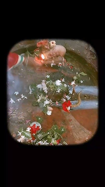 August 13 2024 Youtube