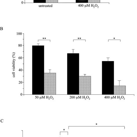 Hydrogen Peroxide Challenge And Phenotype Rescue A Atp Depletion