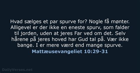 Mattæusevangeliet 10 29 31 Bibelvers DailyVerses net