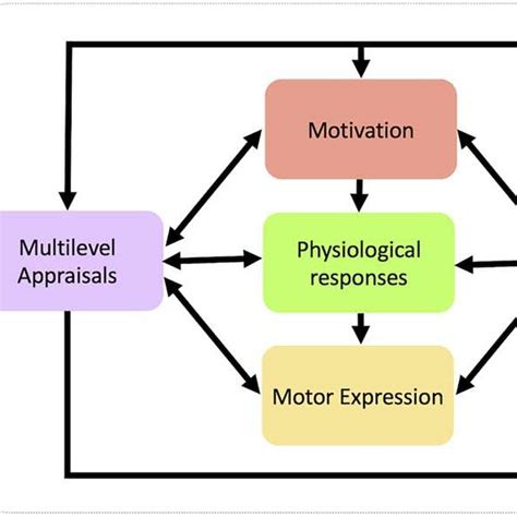 Histogram And Hierarchical Clustering Of Discrete Emotions A Download Scientific Diagram