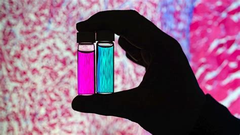 Imaging Agents Light Up Two Cancer Biomarkers At Once To Give More