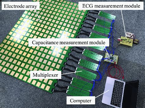 The Actual Sensor Setup The Sensor Consists Of An Electrode Array Download Scientific Diagram