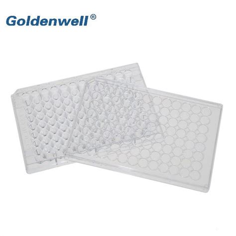 24 Well Cell Culture Plate Pcr Plate And Pcr Tube
