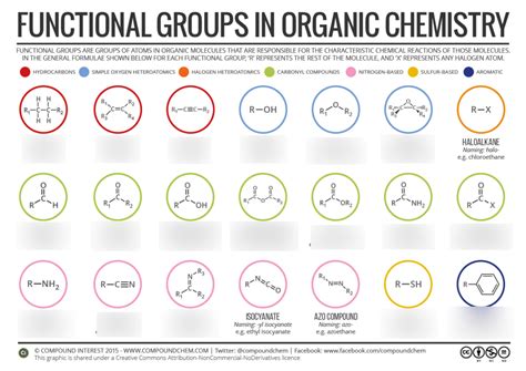 Functional Groups Diagram Quizlet