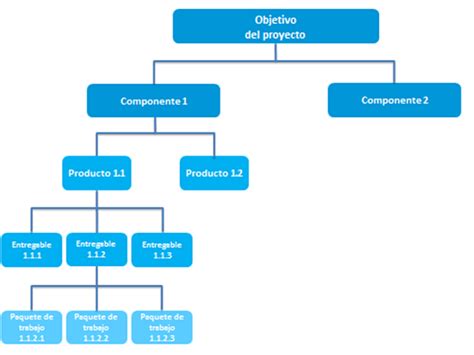 Cuáles Son Las 7 Partes De Un Proyecto