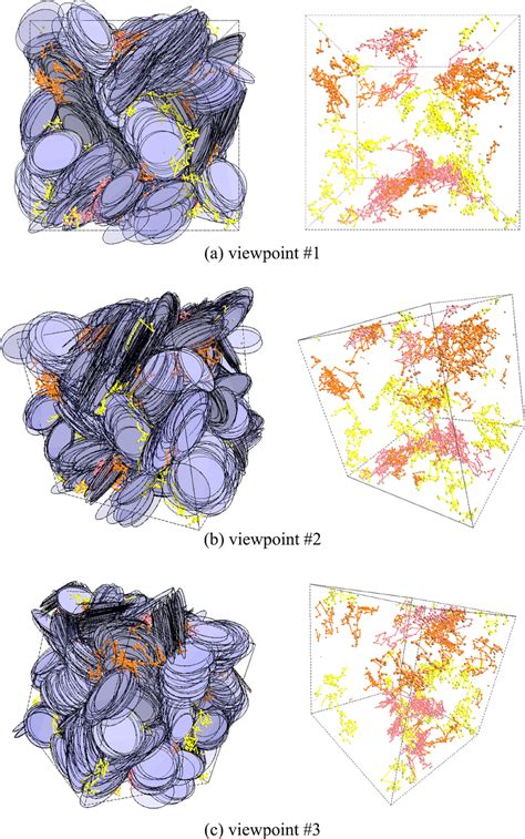 Random Walker Trajectories Observed From Different Viewpoints Left