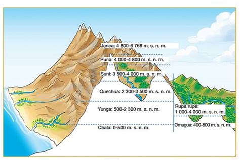Agropecuario Las 8 Regiones Naturales De PerÚ