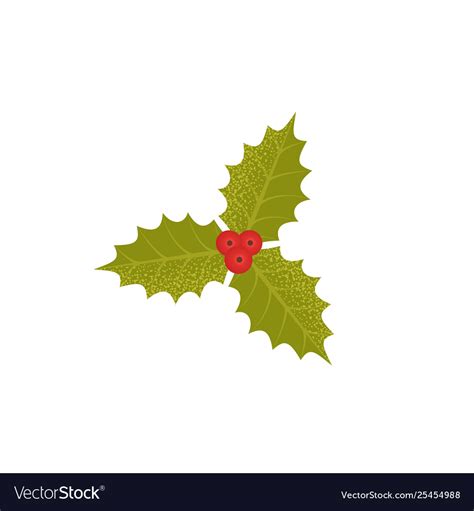 Mistletoe Leaf