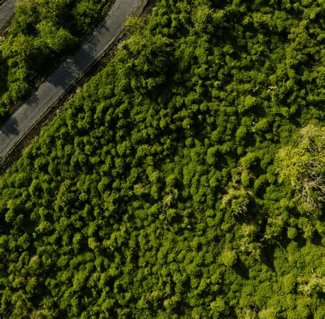 What Is A Software Testing Strategy Testlio