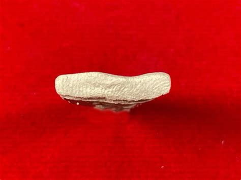Rare Amulet Be2465 Phra Somdej Nang Phaya Holy Powder Amulet By Lp