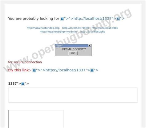 Httplocalhost Info Cross Site Scripting Vulnerability OBB 896585 Open