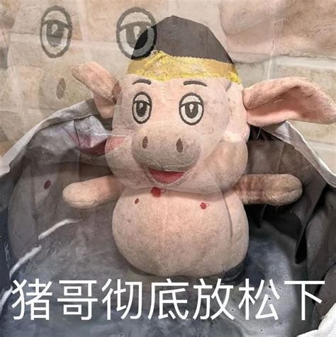 表情包你说的都对