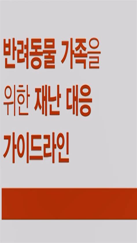 반려동물 재난 관리사가 알려주는 재난 대비 가이드라인 스브스뉴스 경계경보 가이드라인 오늘의 숏 Beta
