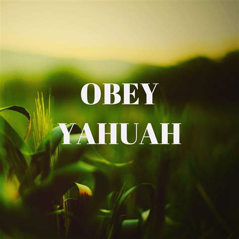 Pin By Mountain Daughter On Abba Yahuah An Ha Mashiac Yahusha In 2023
