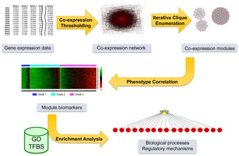 Schematic Overview Of The Co Expression Module Based Analysis