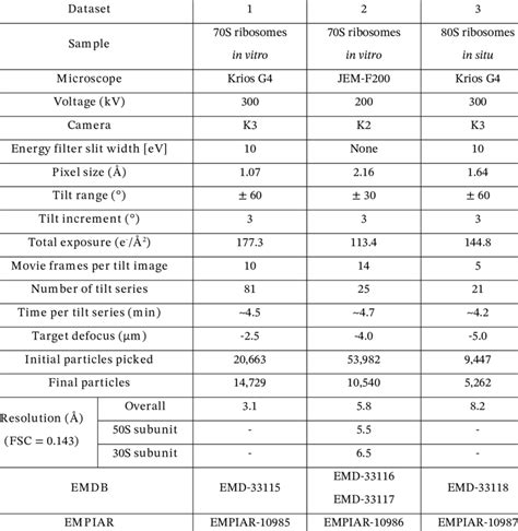 Collection Parameters For Ribosome Datasets Download Scientific Diagram