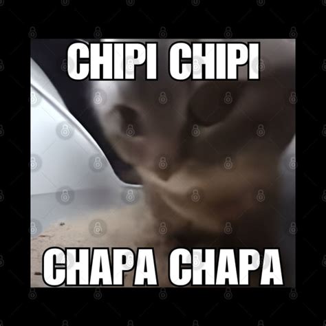 Chipi Chipi Chapa Chapa Cat Meme Cat Memes Pin Teepublic