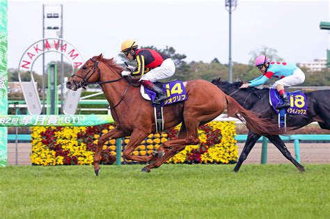ジオグリフ Archives Idol Horse