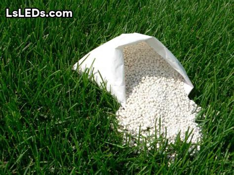 Pasture Mix Grass Seed For Cattle Lsleds