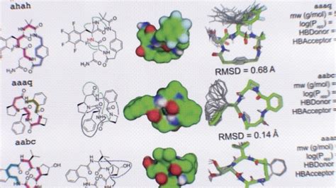 Expansive Discovery Of Diverse Macrocycles • Baker Lab